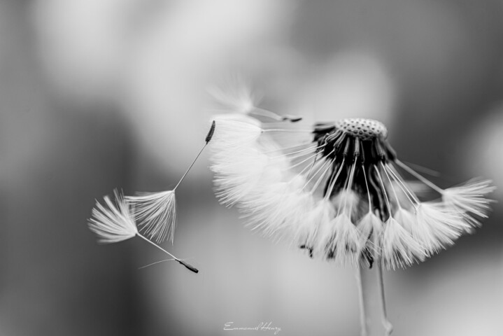 EmmanuelHenry – Auteur Photographe - Fragile équilibre